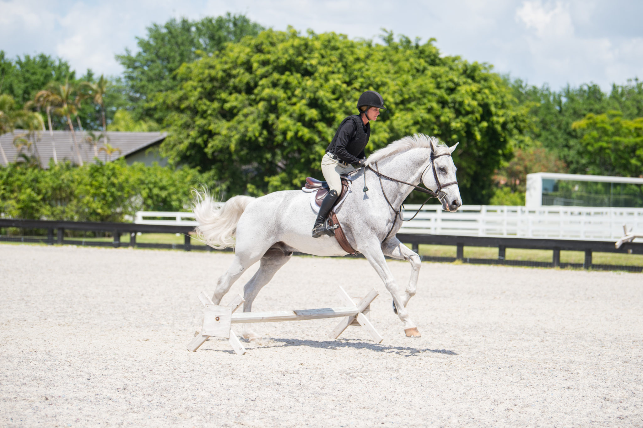 Hunter Riders: Equitation Counts!