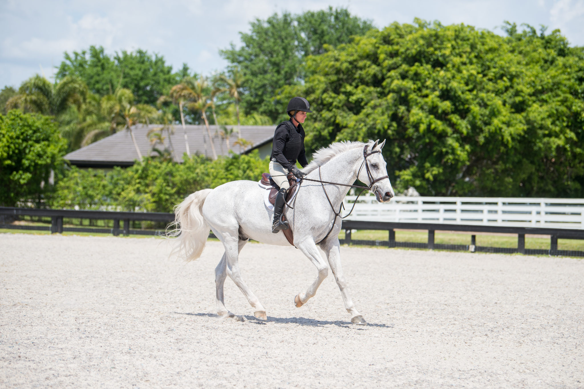 Hunter Riders: Equitation Counts!
