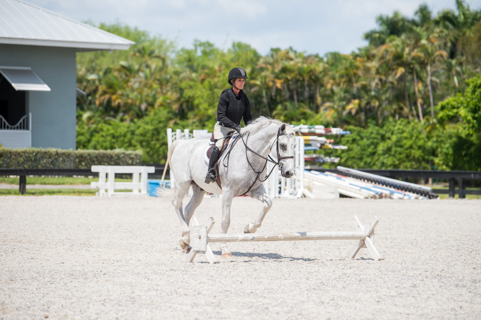 Hunter Riders: Equitation Counts!