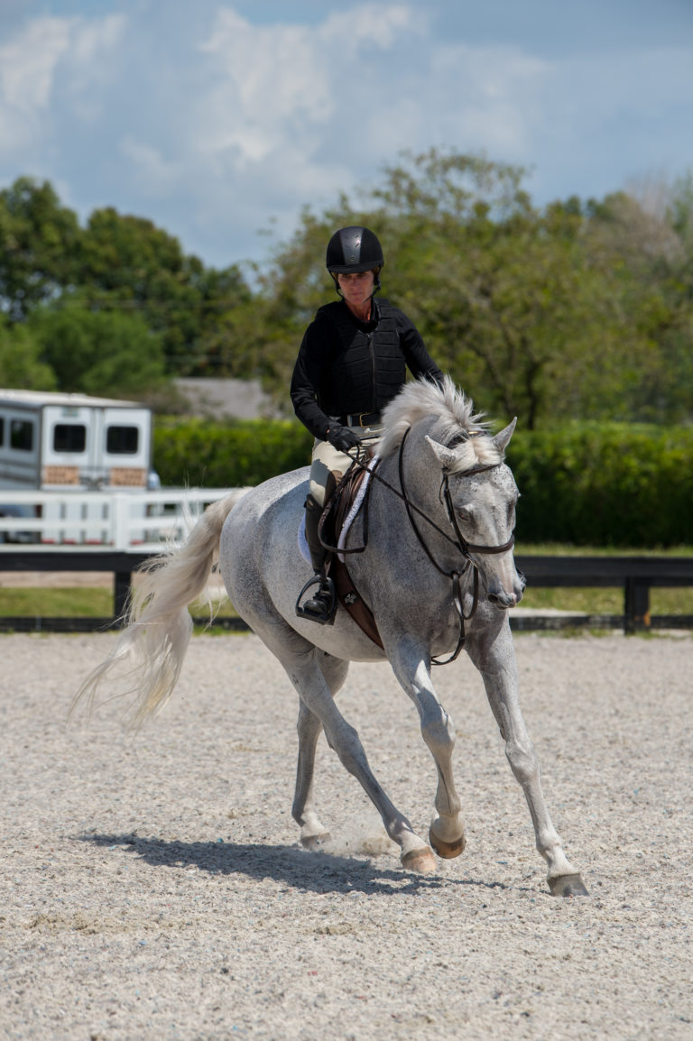 Hunter Riders: Equitation Counts!
