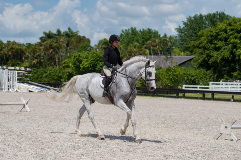Hunter Riders: Equitation Counts!