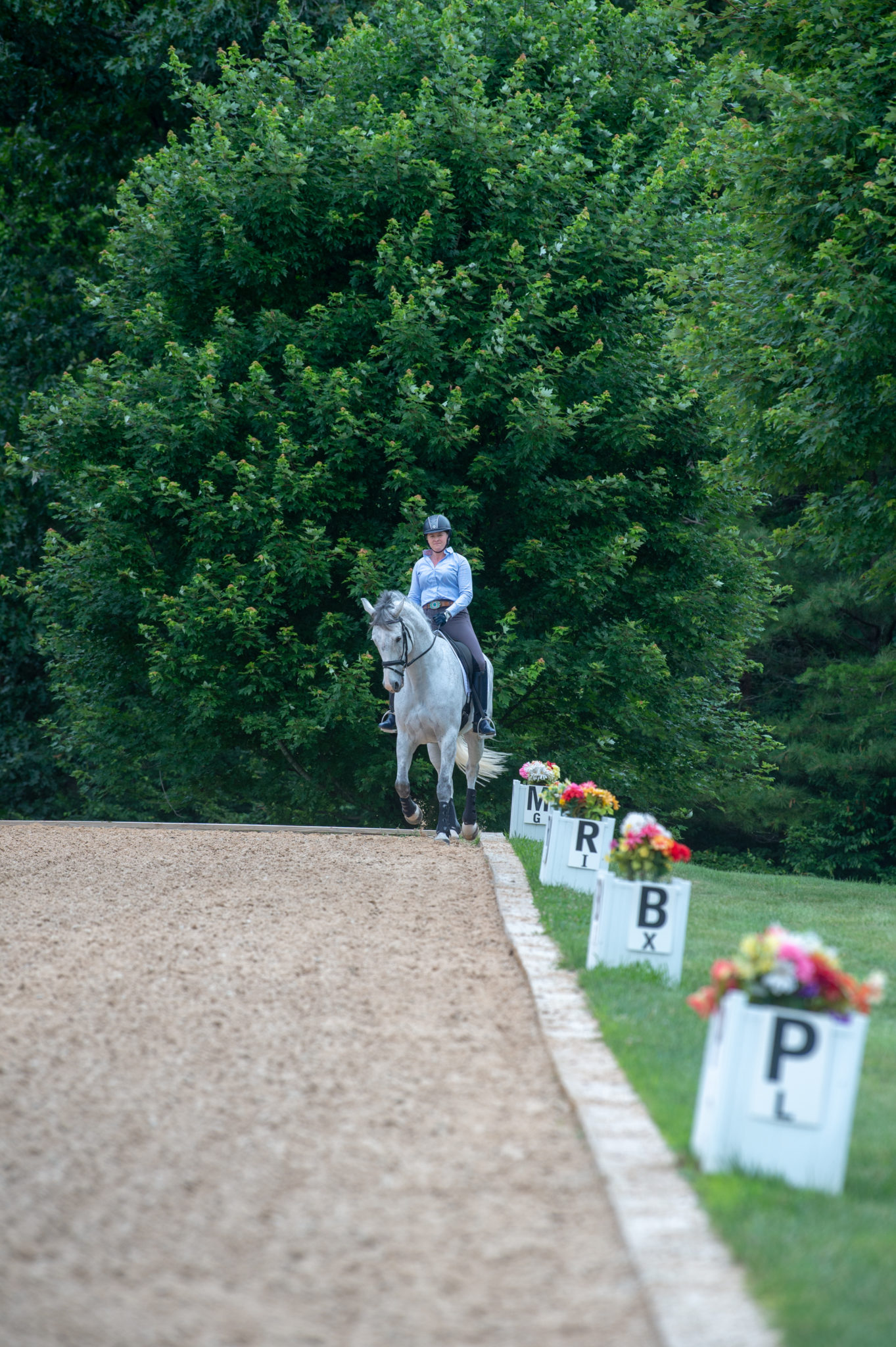 Where Real Dressage Begins: Shoulder-In