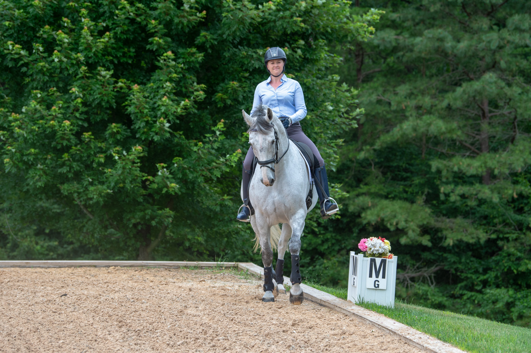 Where Real Dressage Begins: Shoulder-In