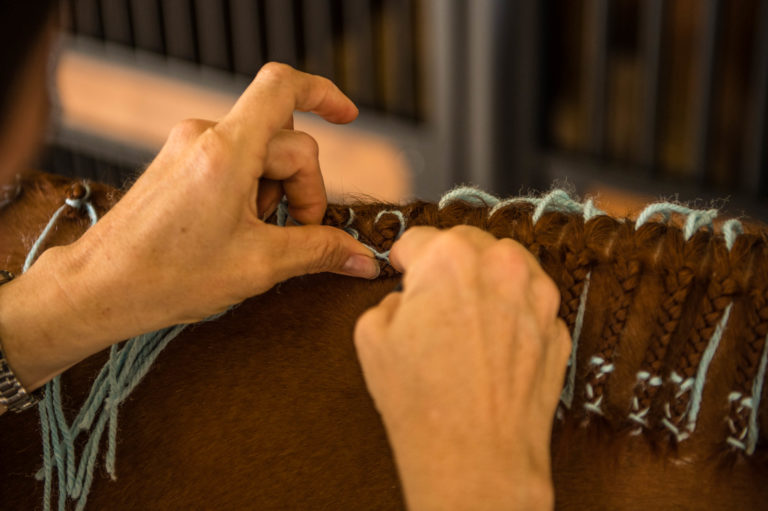 Master a Beautiful Braid Job