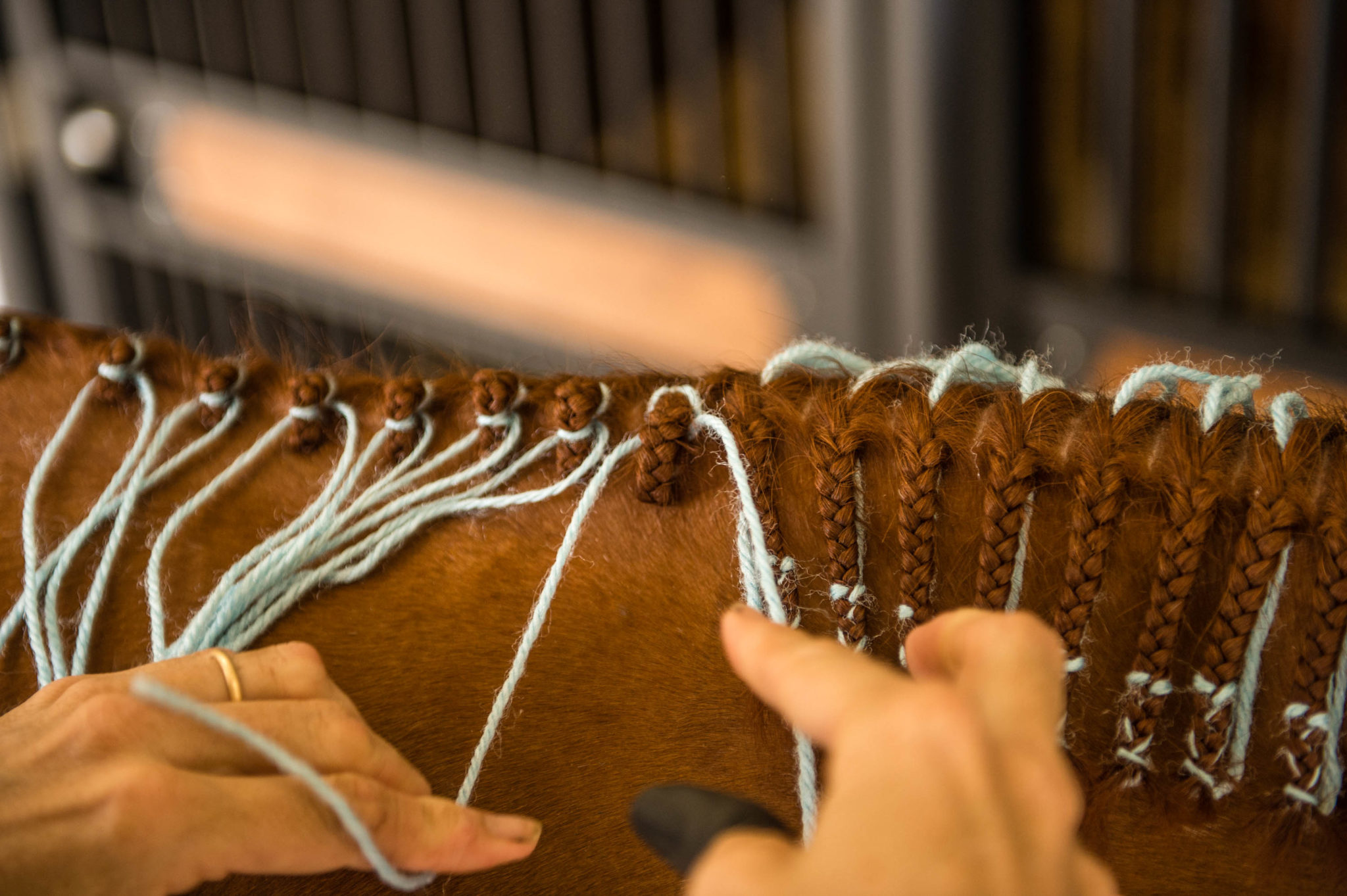 Master a Beautiful Braid Job