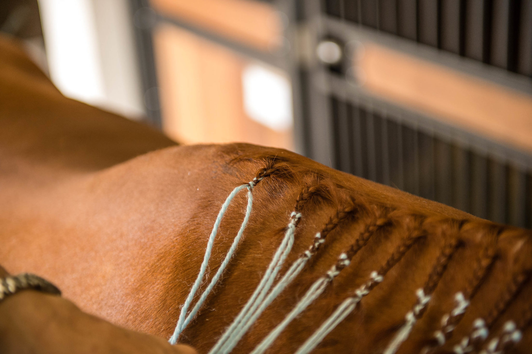 Master a Beautiful Braid Job