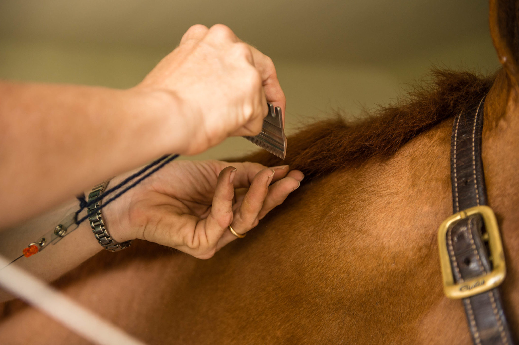 Master a Beautiful Braid Job