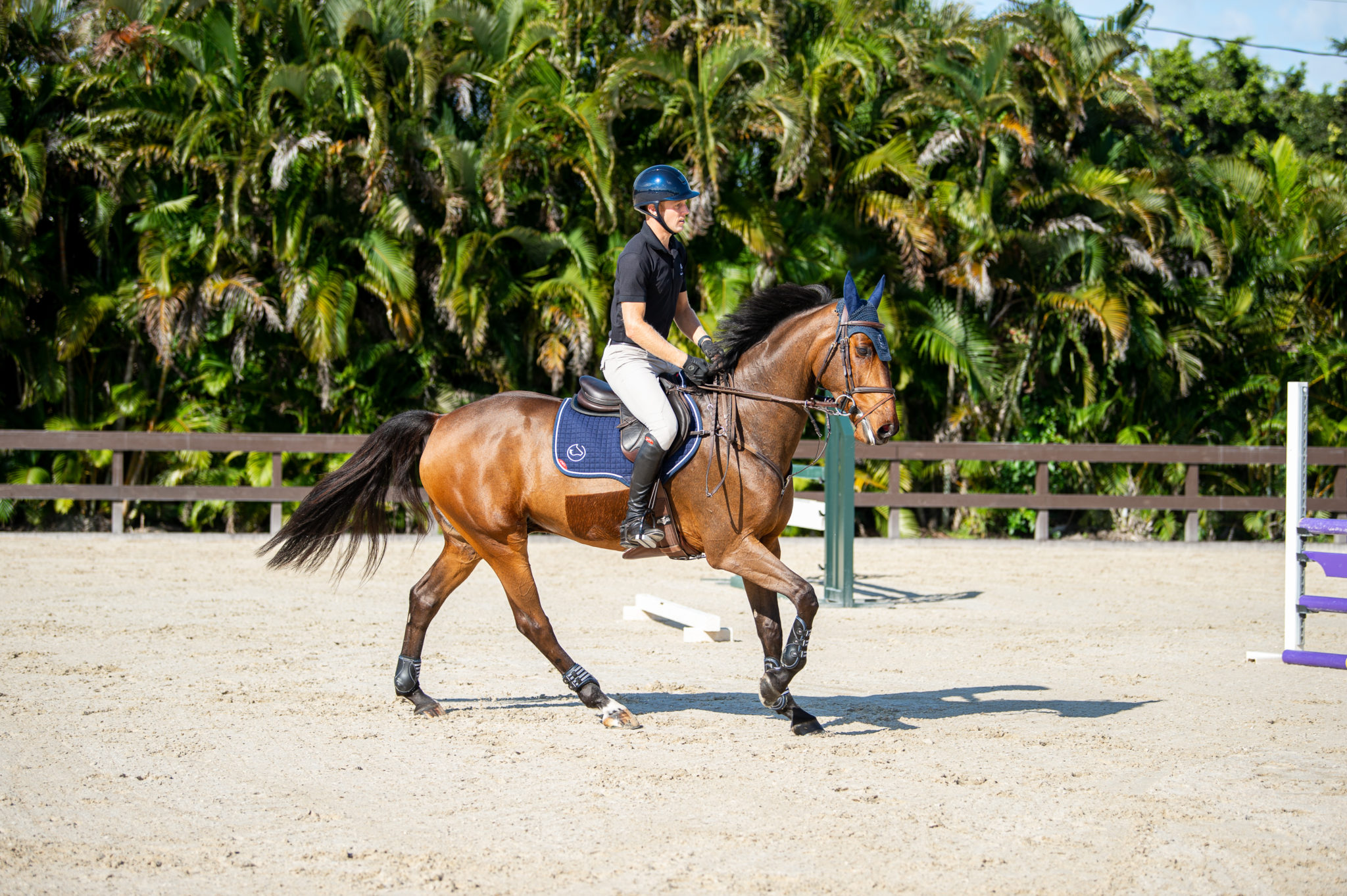 Control the Canter for Better Courses