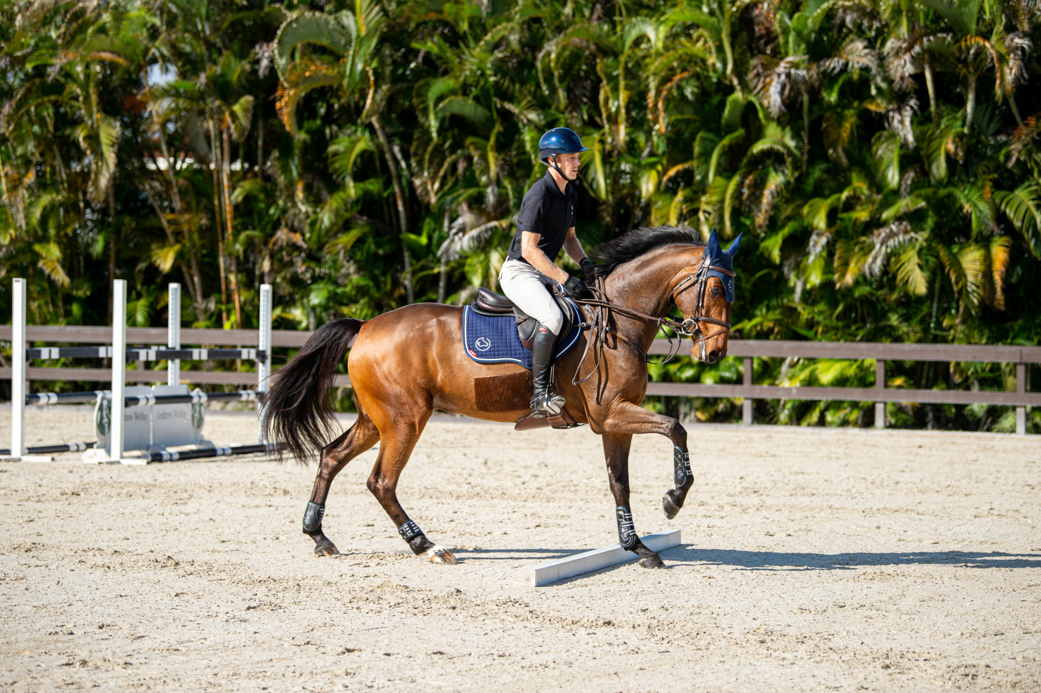 Control the Canter for Better Courses
