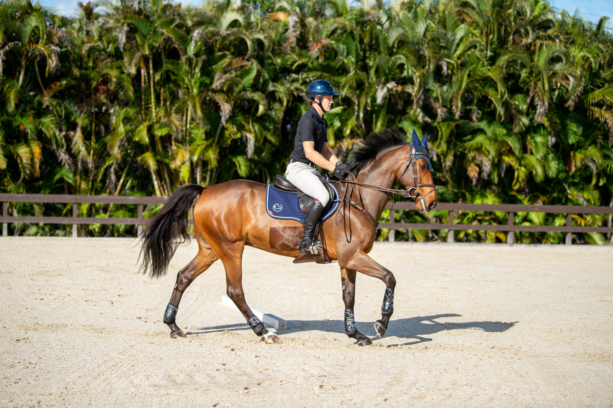 Control the Canter for Better Courses