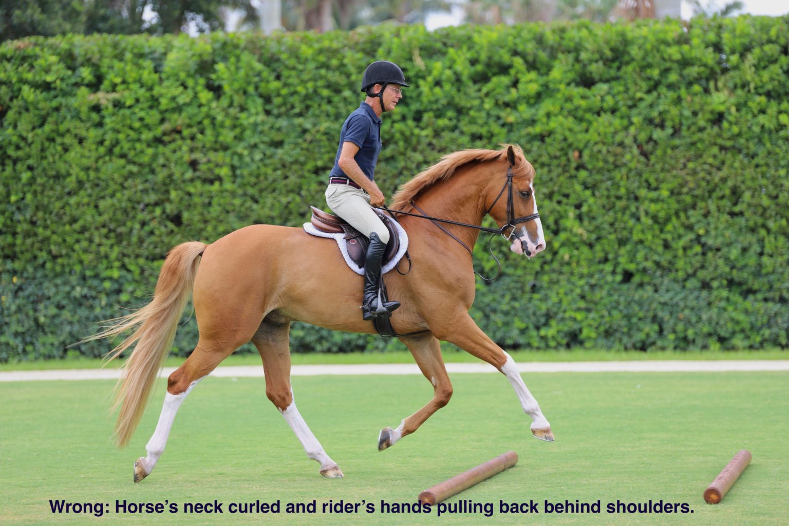 Take Advantage of Trot Jumps