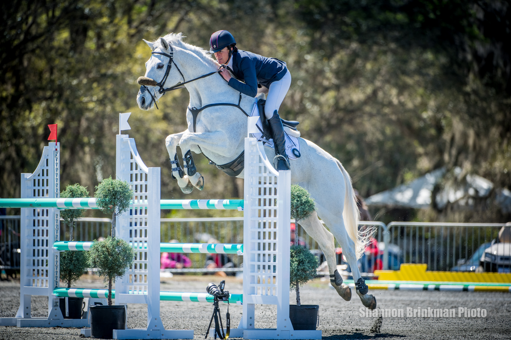 Nicholson Nails Down the Win at Red Hills International CCI4*-S