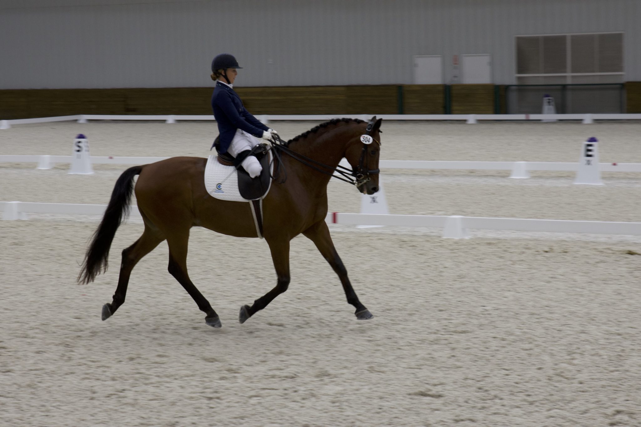 15 Tips to Improve Communication with Your Horse