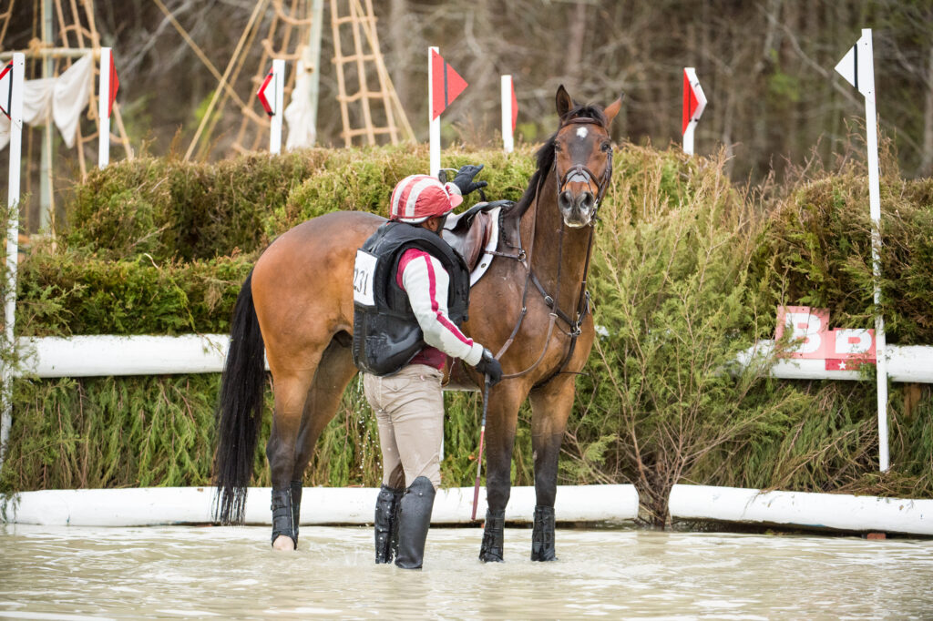 10 Fence Types at Increased Odds of a Fall for Horse and Rider ...