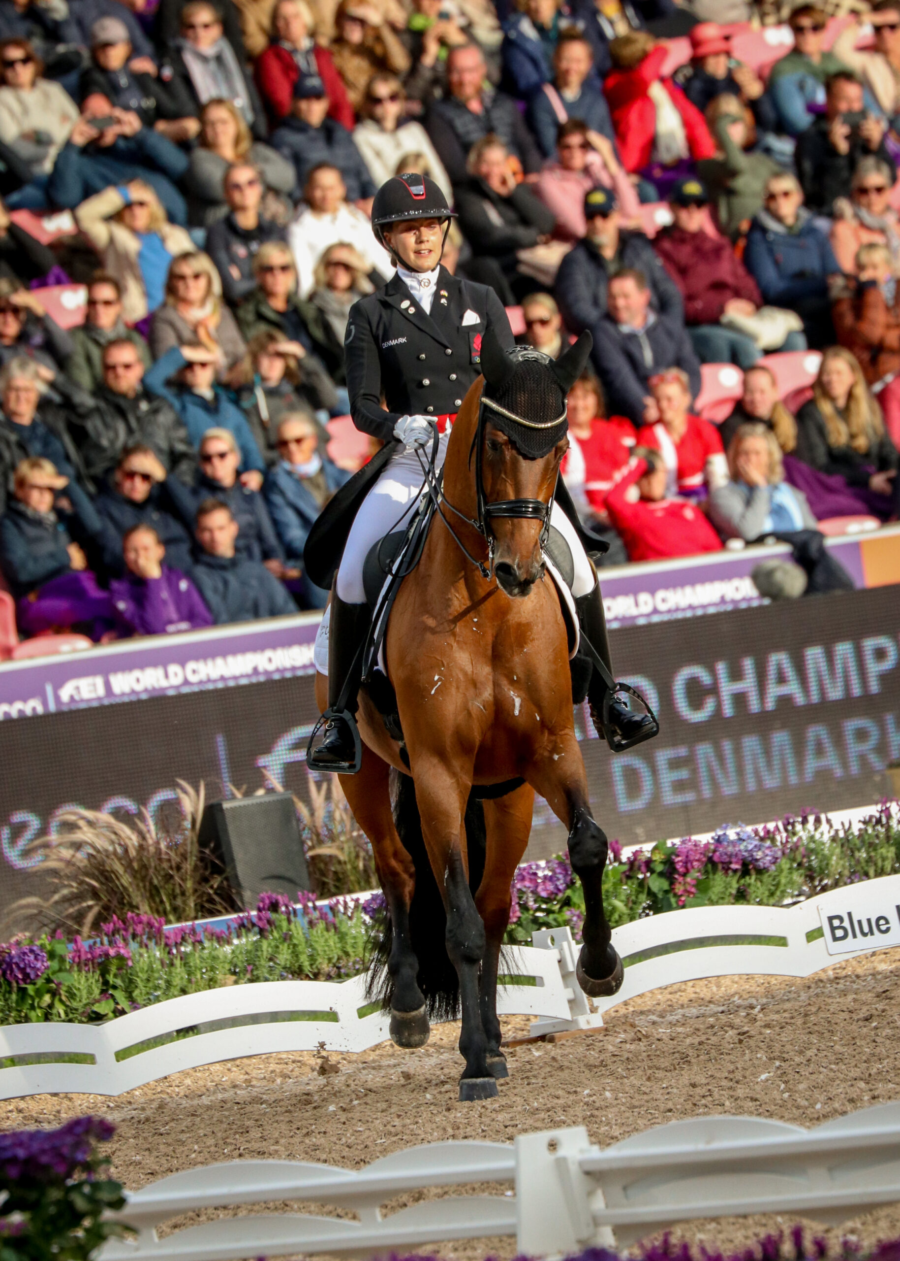 Denmark Dressage Captures Team Gold for the First Time in Nation's History