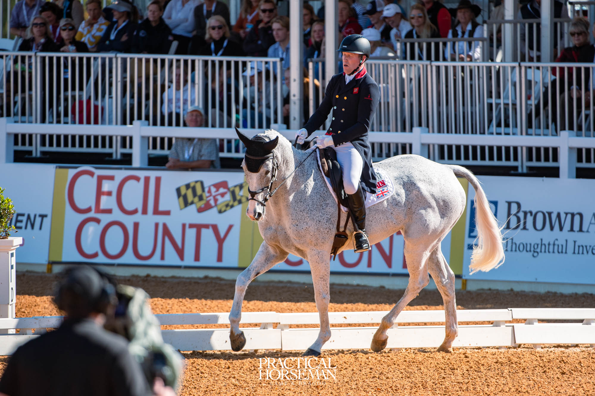 Maryland 5 Star Dressage Day Two Photo Gallery