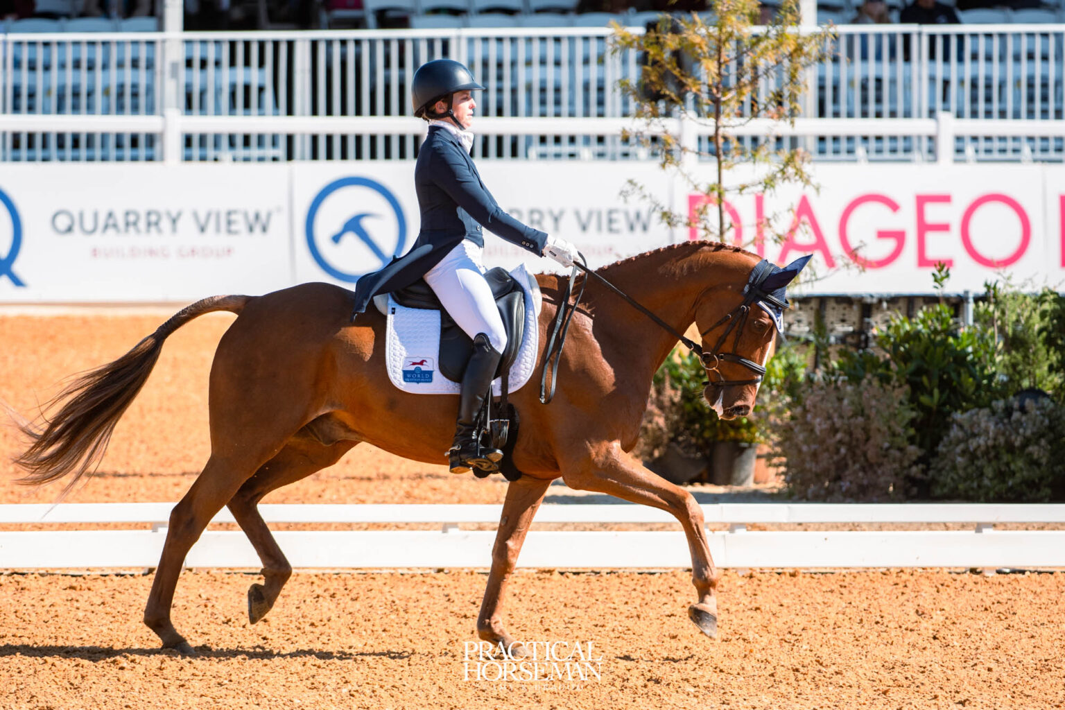 Maryland 5 Star Dressage Day Two Photo Gallery