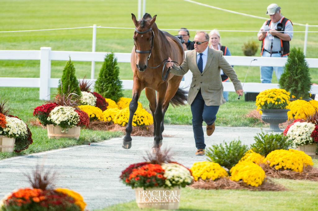 Maryland 5 Star First Horse Inspection Photo Gallery