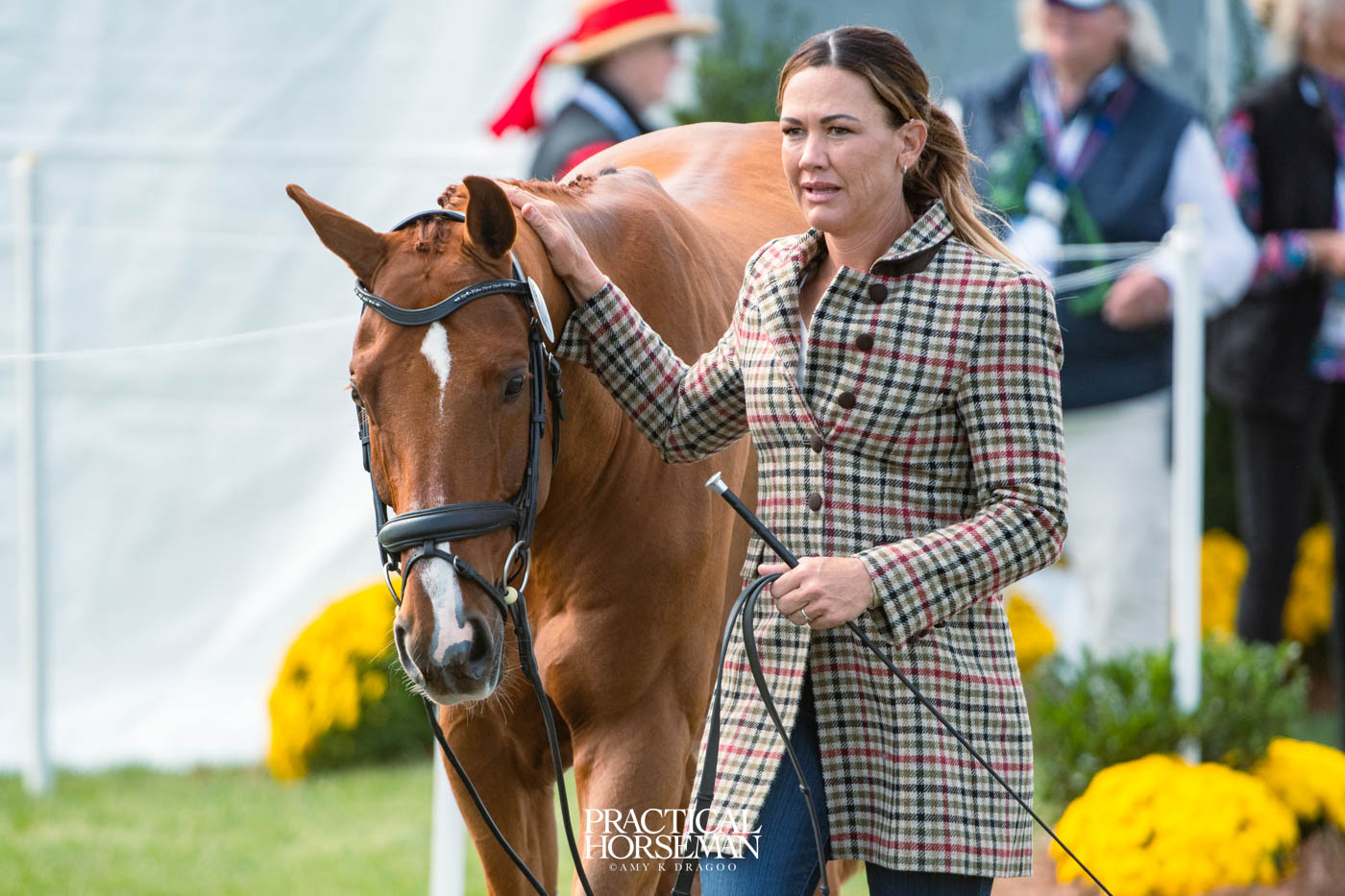 Maryland 5 Star First Horse Inspection Photo Gallery
