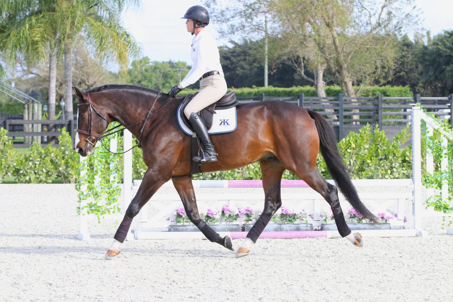 14 Tips for a Better Under-Saddle Class - Practical Horseman