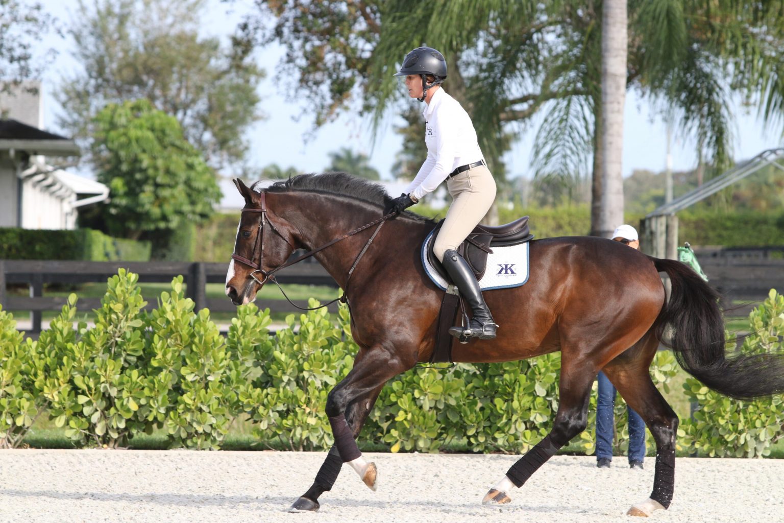 14 Tips for a Better Under-Saddle Class - Practical Horseman