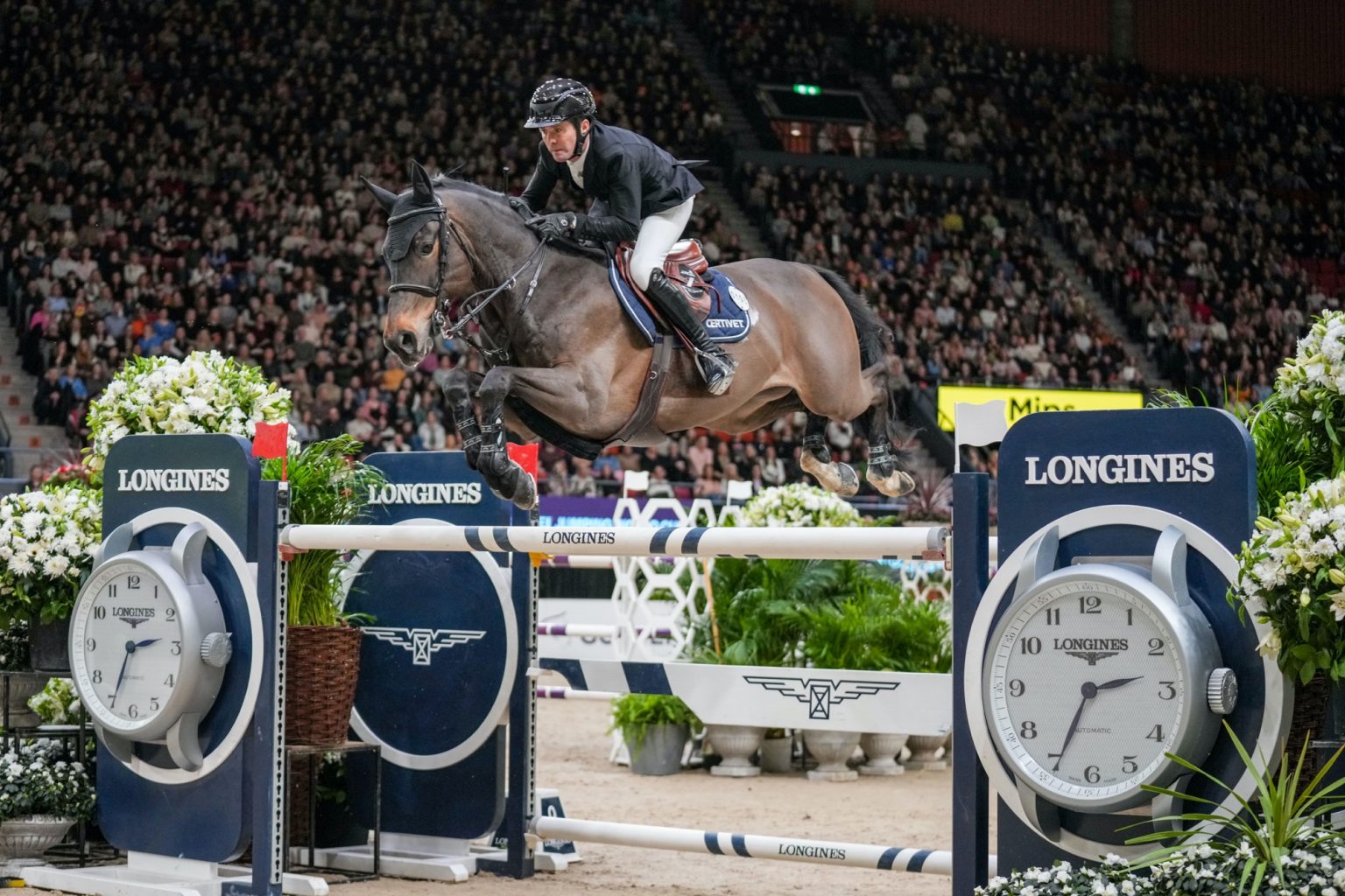 Dilasser Wins Last Leg in Gothenburg - Practical Horseman