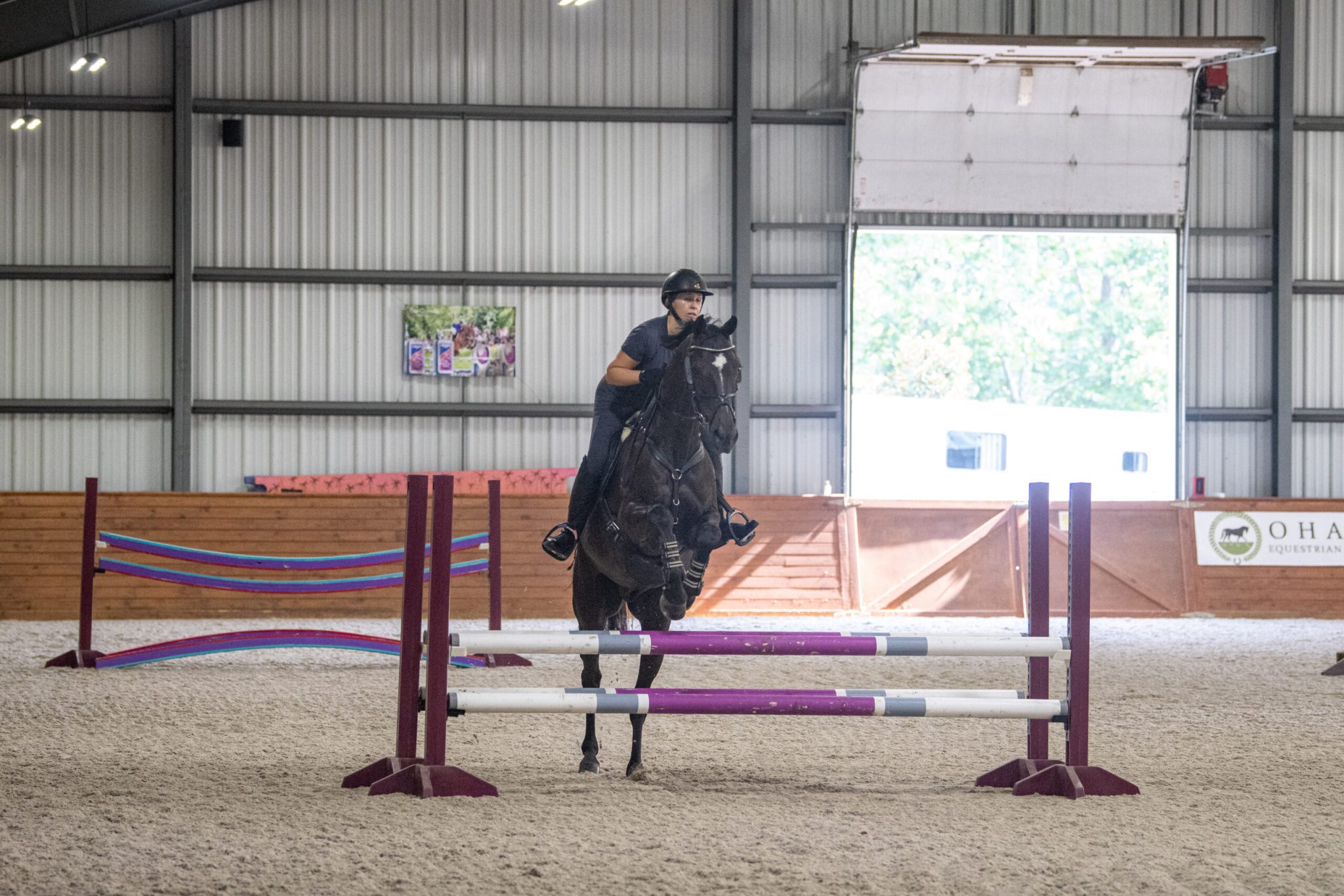 Fabulous 4-Stride Lines - Practical Horseman