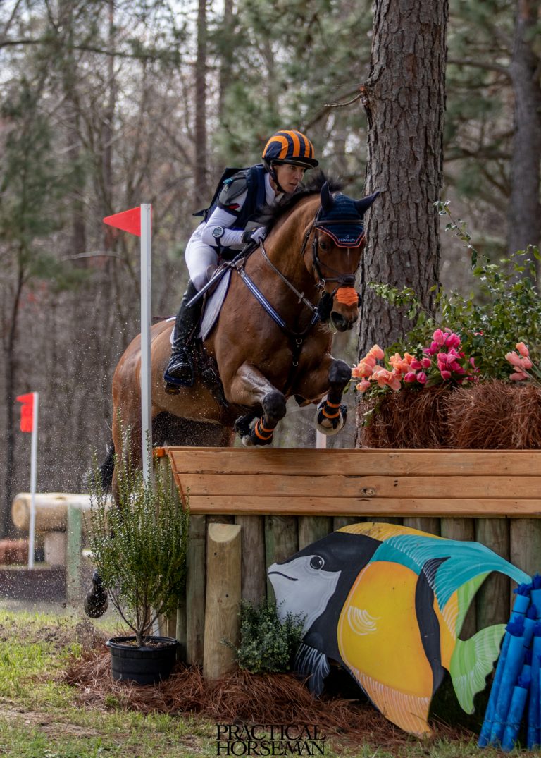 Meet Liz Halliday-Sharp's Miks Master C - Practical Horseman