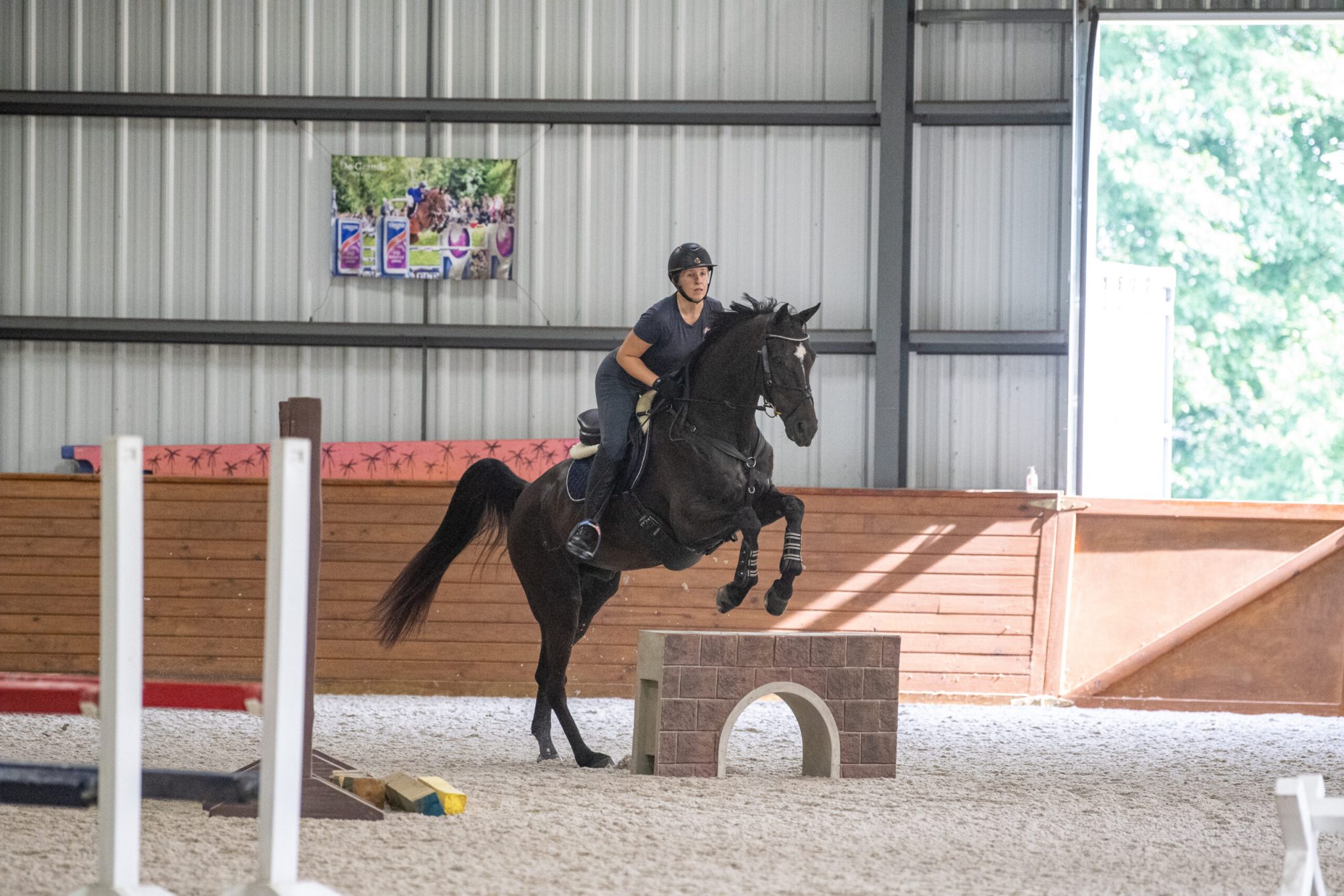 Fabulous 4-Stride Lines - Practical Horseman