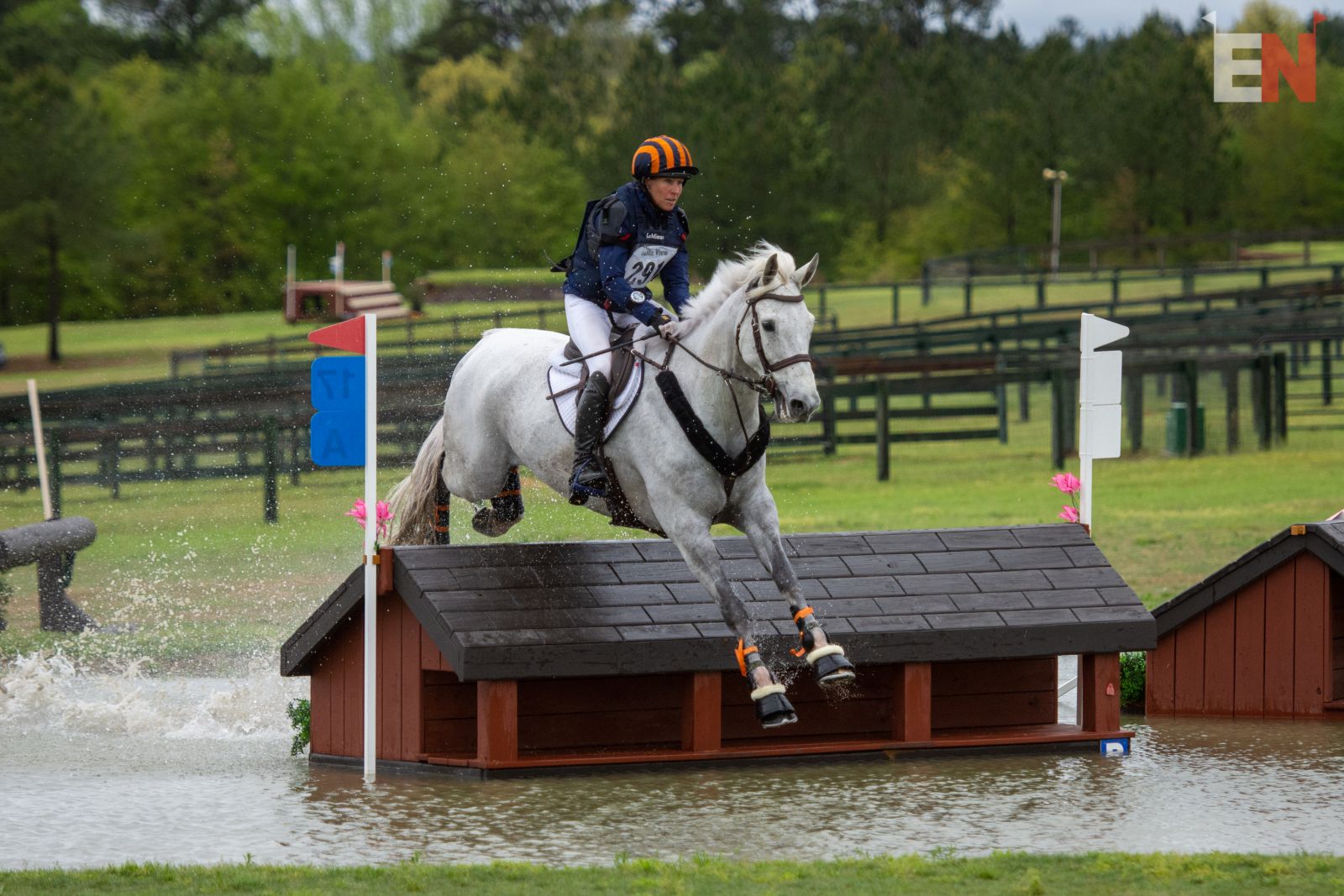 Liz Halliday-Sharp Takes Stable View CCI4*-S Victory - Practical Horseman