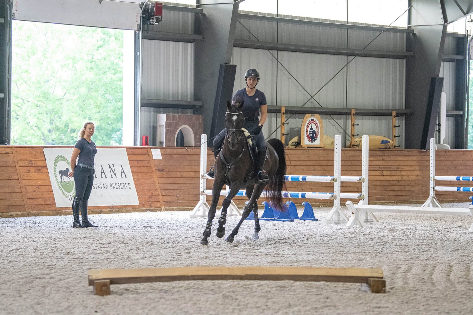 Fabulous 4-Stride Lines - Practical Horseman