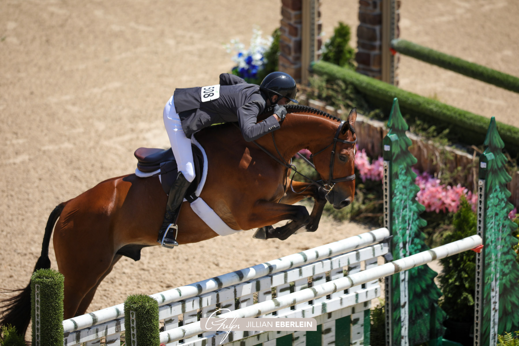 Tosh Earns Second Consecutive USHJA International Hunter Derby Win at ...