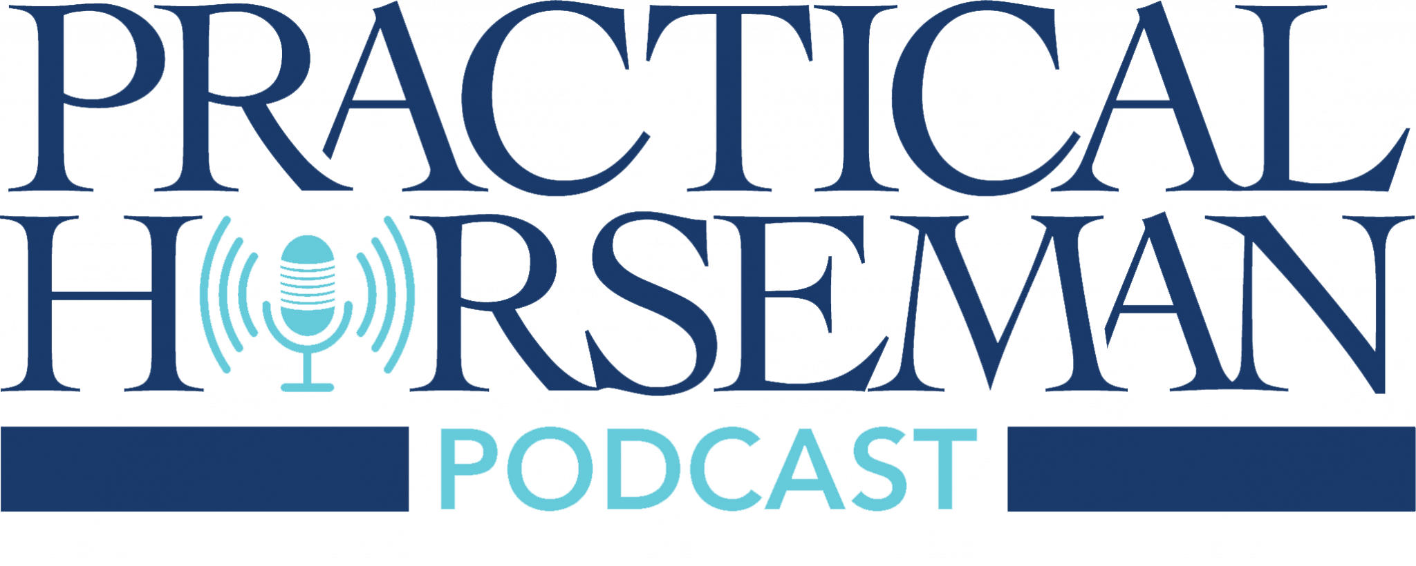 Ride an Accurate 20-Meter Circle - Practical Horseman