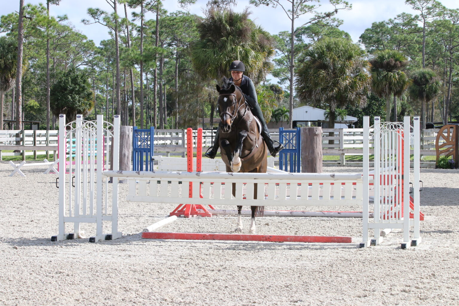 2 Training Tools for Better Hunter Rounds - Practical Horseman