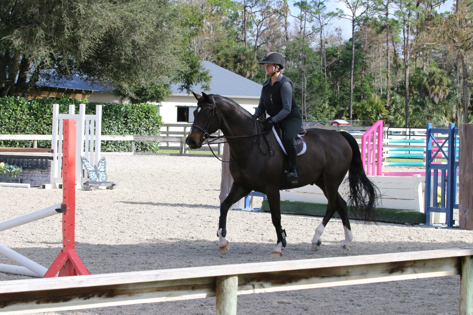 2 Training Tools for Better Hunter Rounds - Practical Horseman