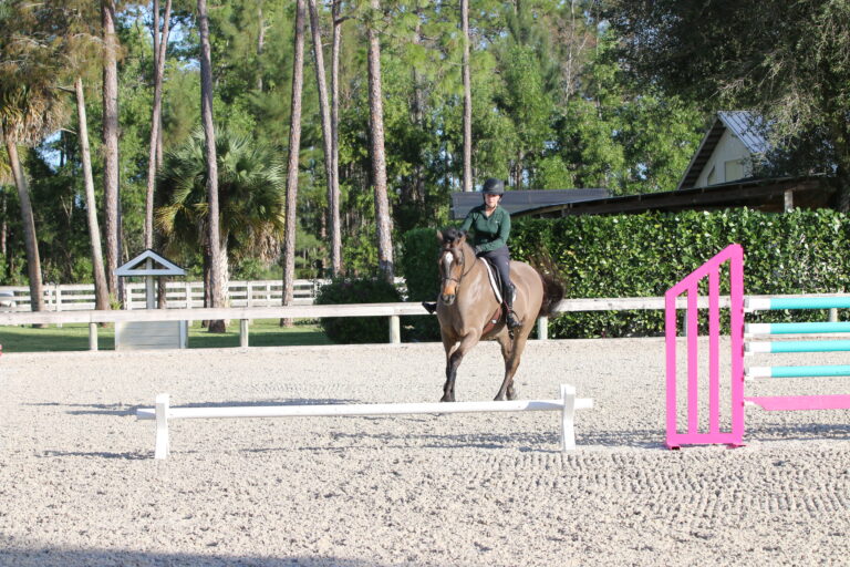 2 Training Tools for Better Hunter Rounds - Practical Horseman