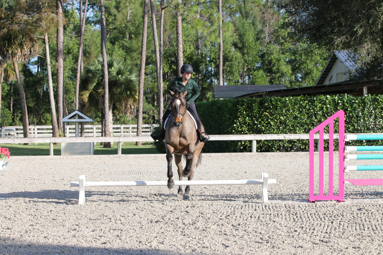 2 Training Tools for Better Hunter Rounds - Practical Horseman