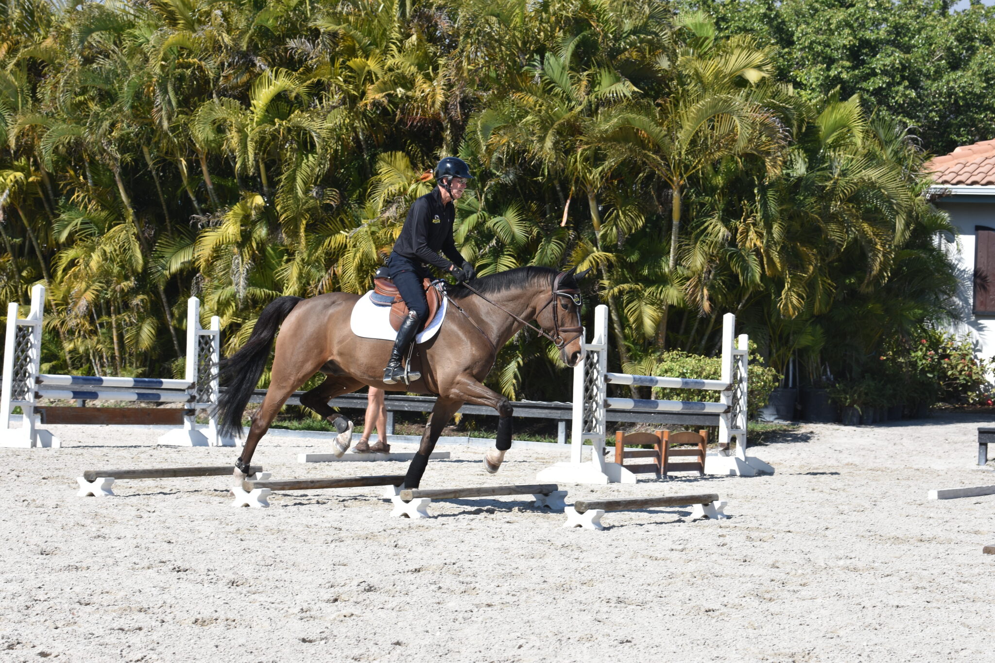 Raised Trot Rails with Ian Millar