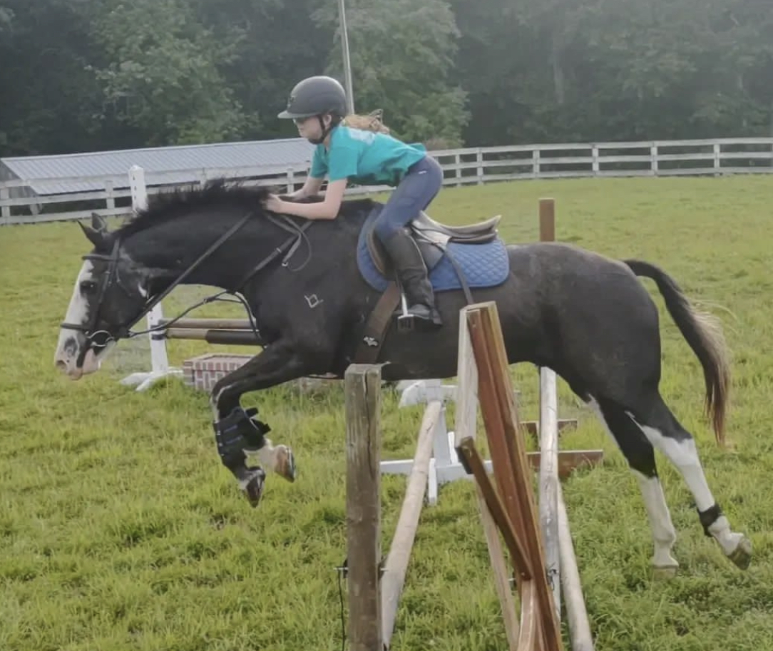 Jumping Clinic: Stirrup Iron Position - Practical Horseman