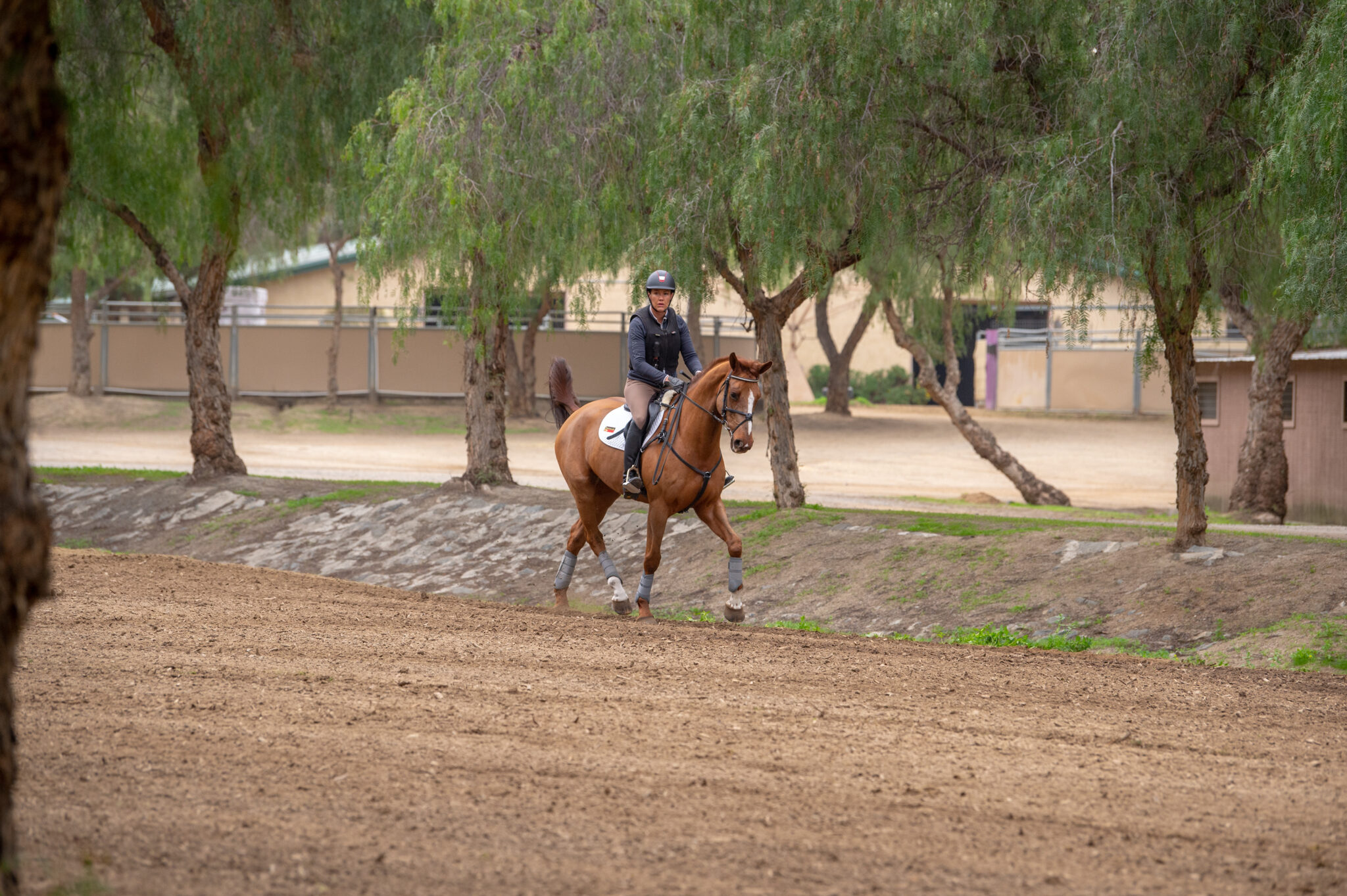 Cross-Country Coffins