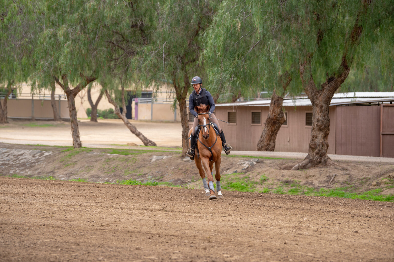 Cross-Country Coffins