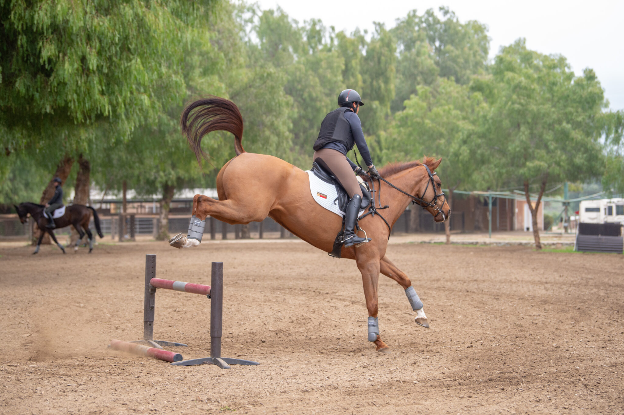Cross-Country Coffins