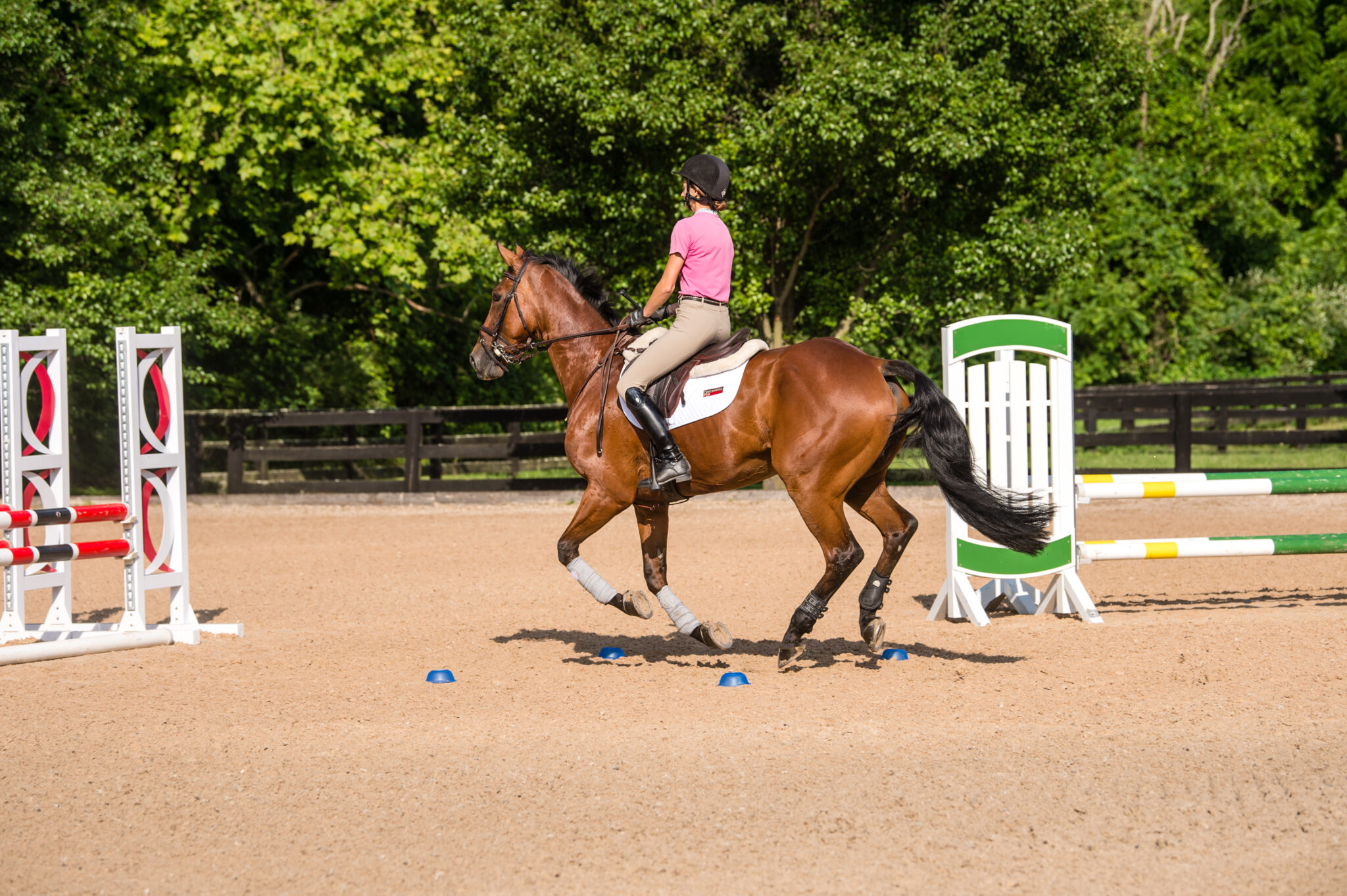 Sharpen Your Show-Jumping Skills