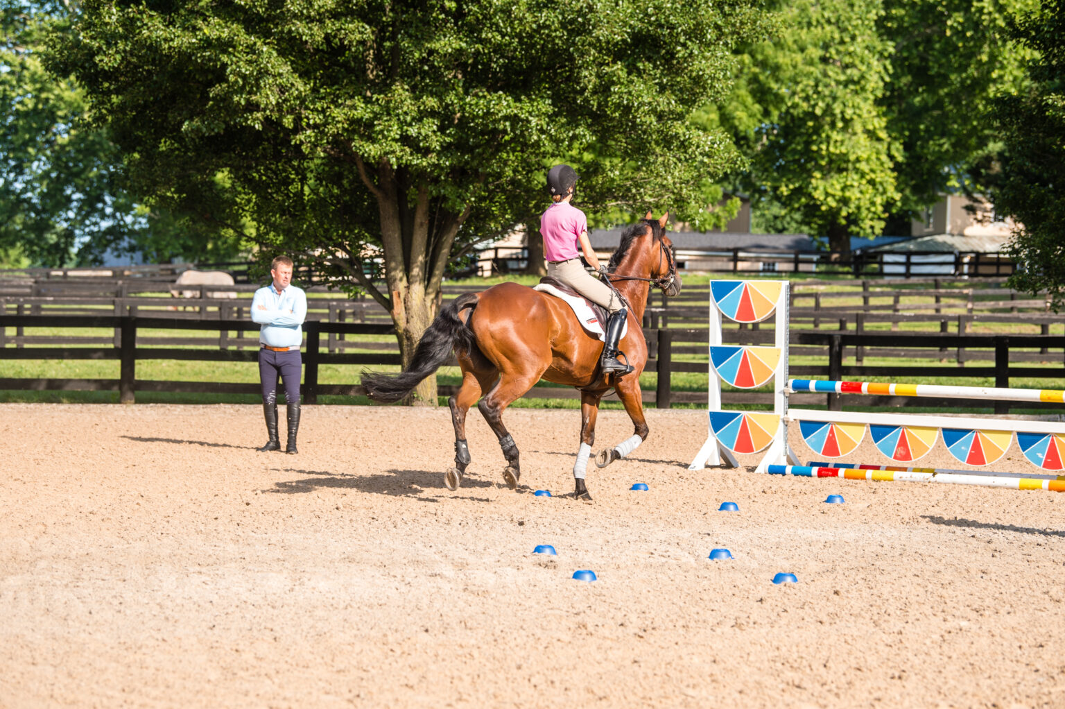Sharpen Your Show-Jumping Skills