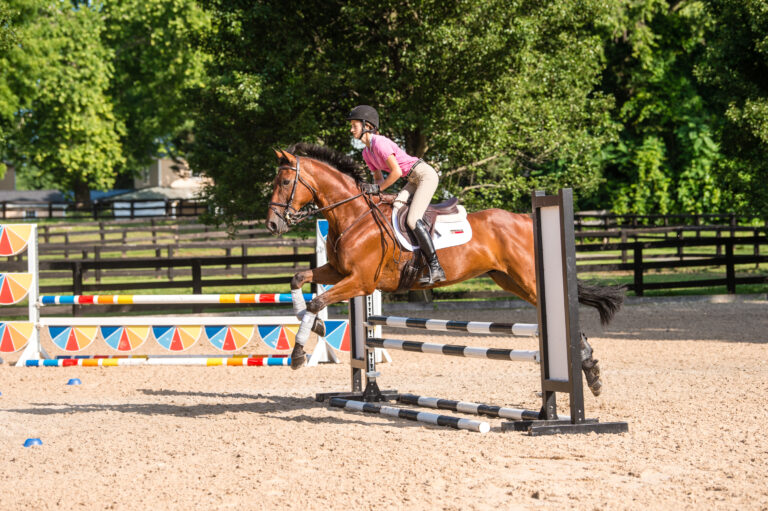 Sharpen Your Show-Jumping Skills