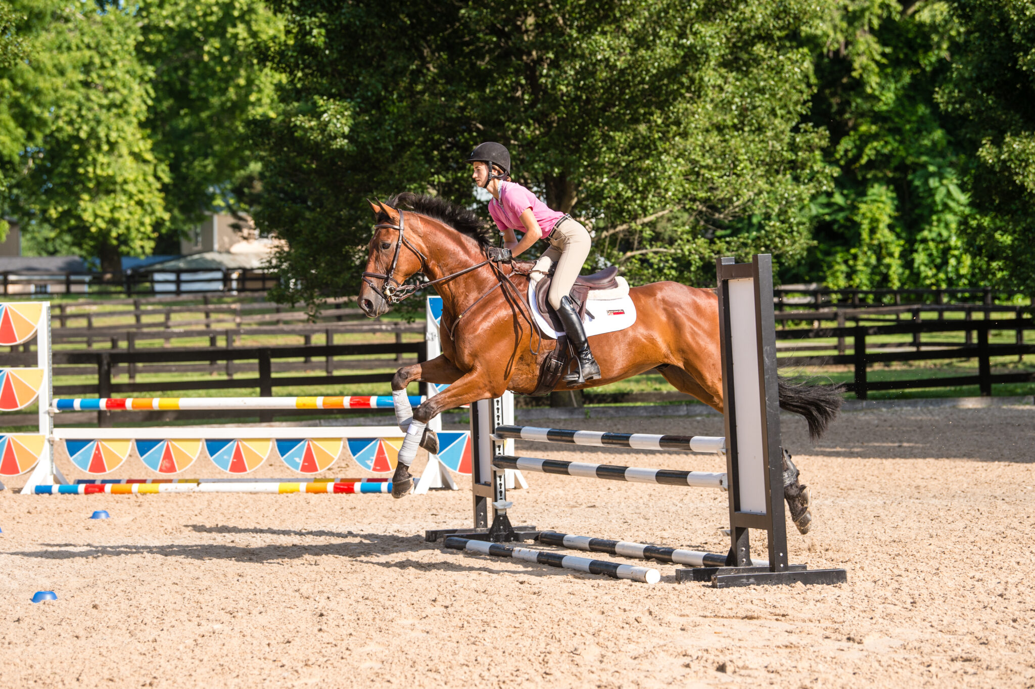 Sharpen Your Show-Jumping Skills