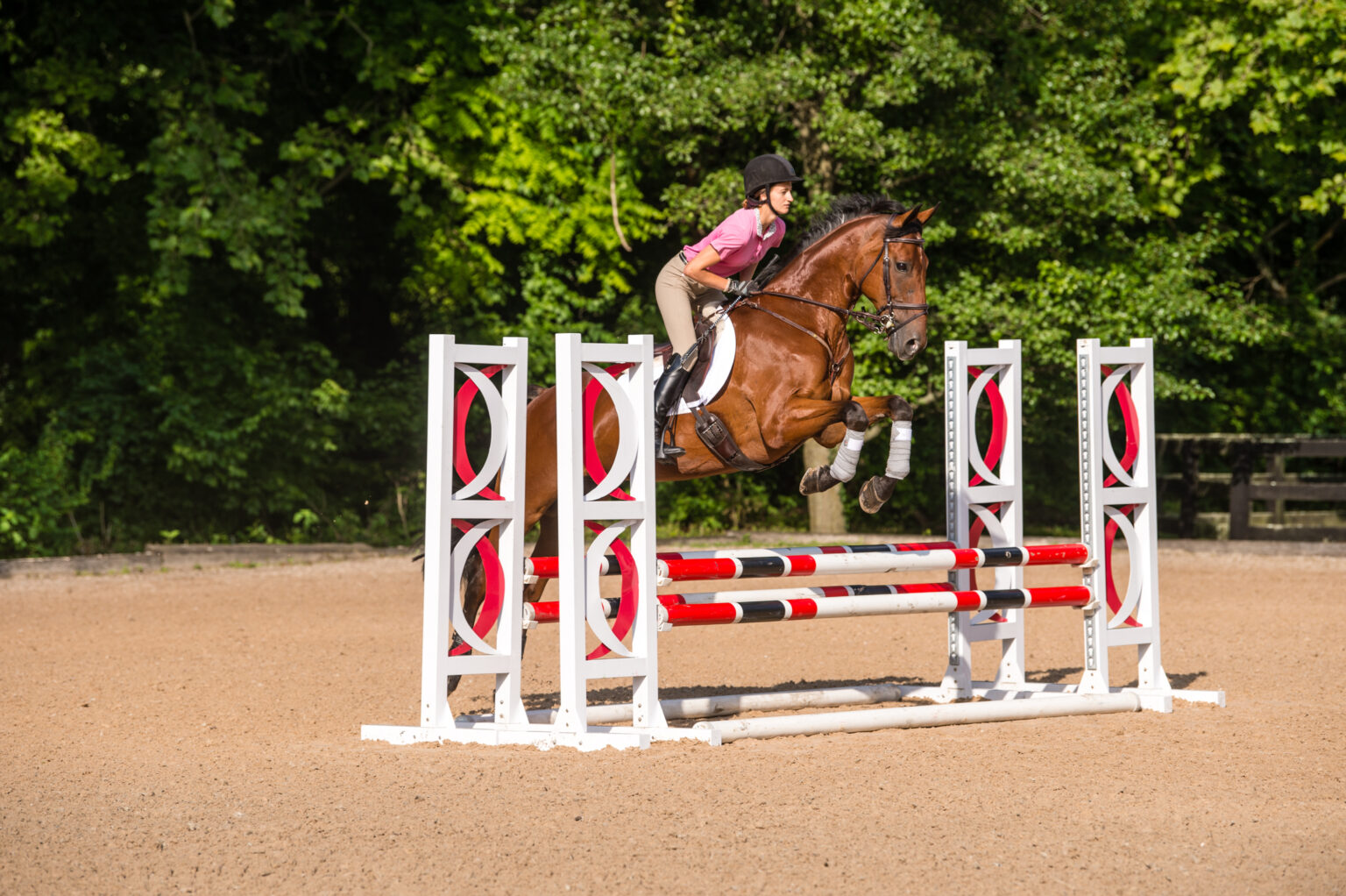 Sharpen Your Show-Jumping Skills