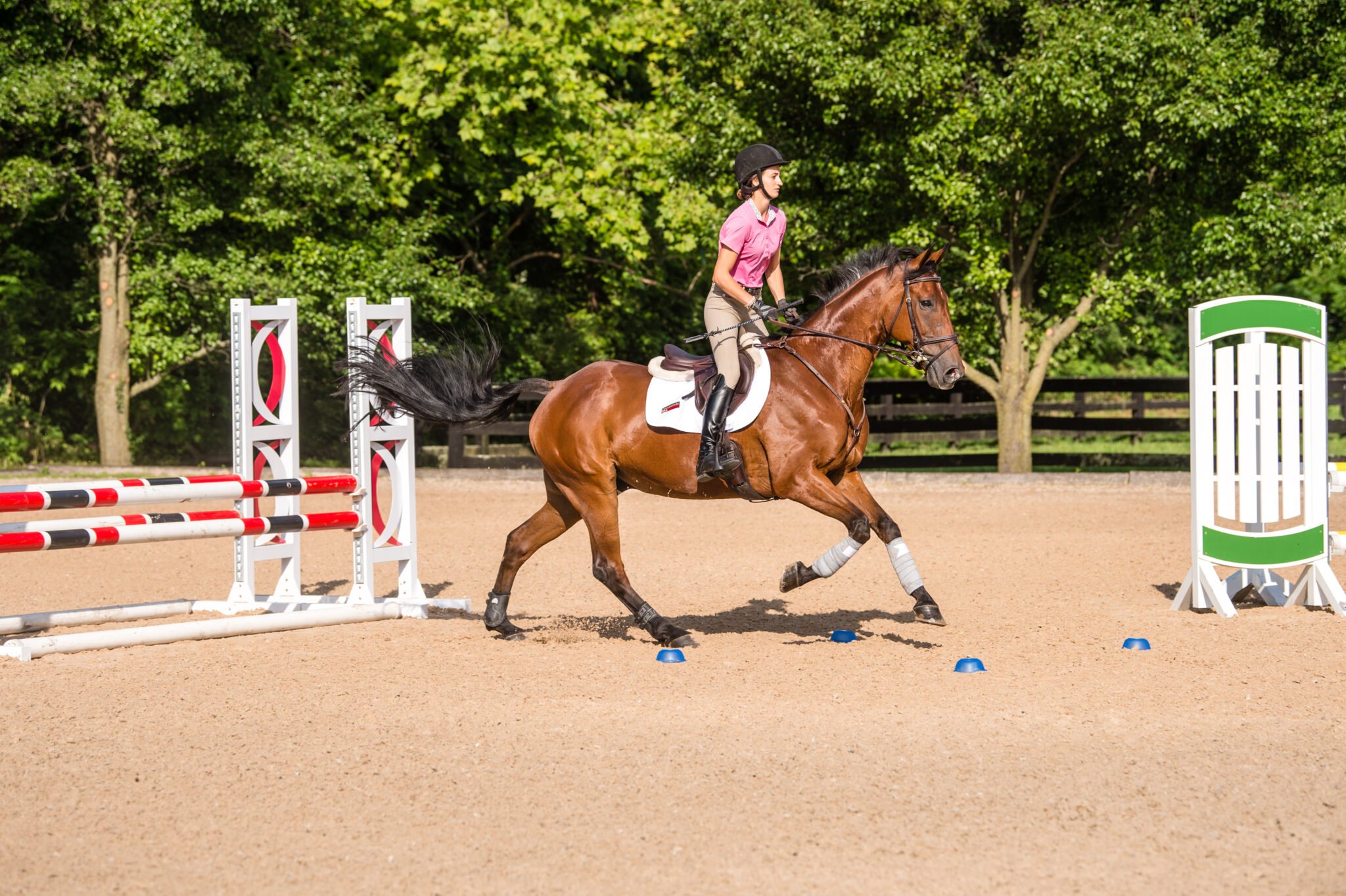 Sharpen Your Show-Jumping Skills
