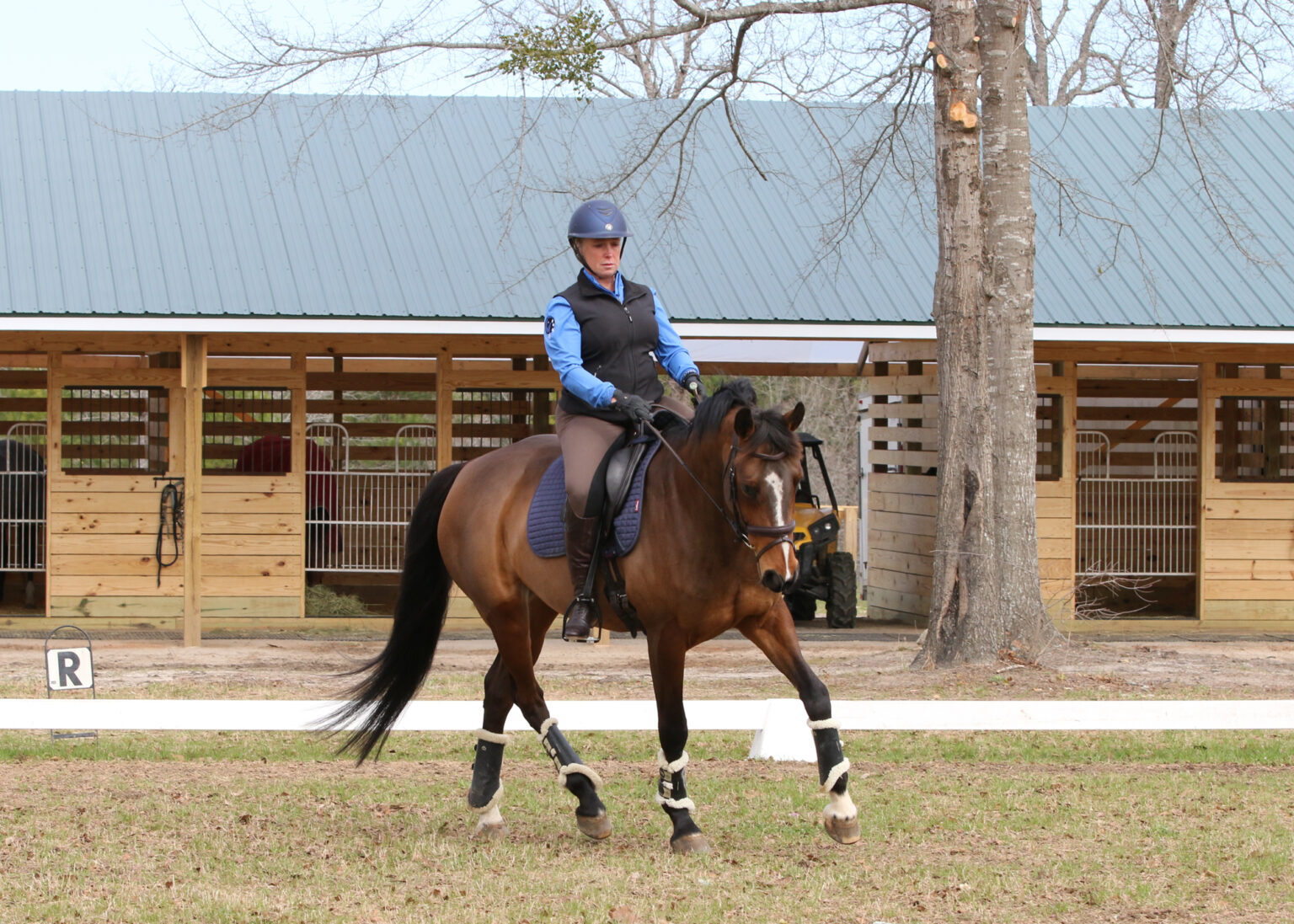 Ride an Accurate 20-Meter Circle - Practical Horseman