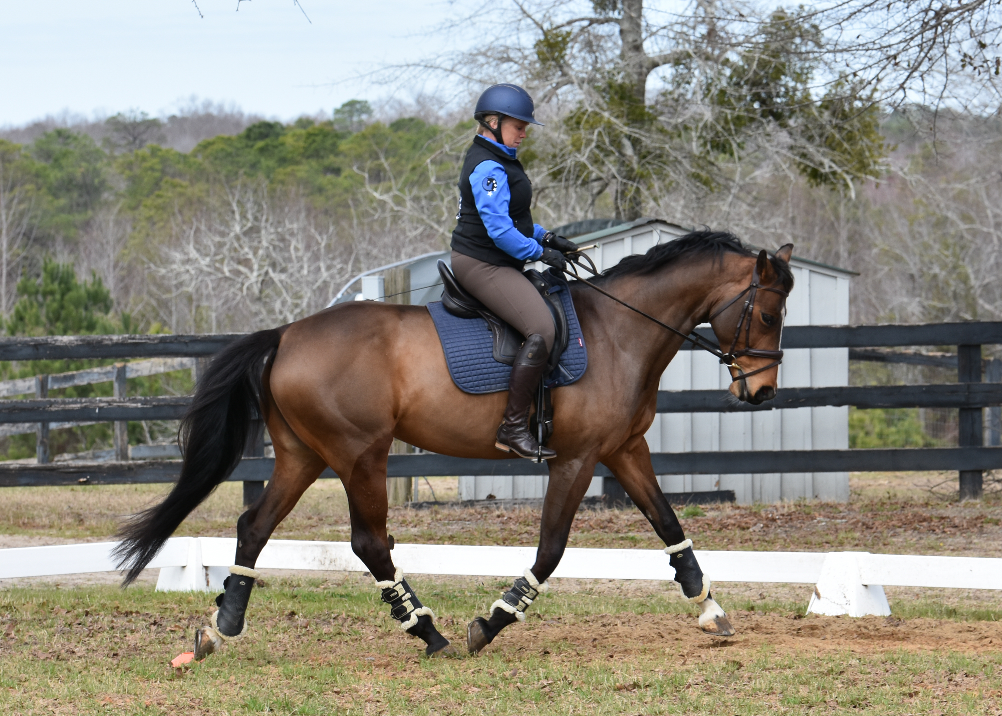 Ride an Accurate 20-Meter Circle - Practical Horseman